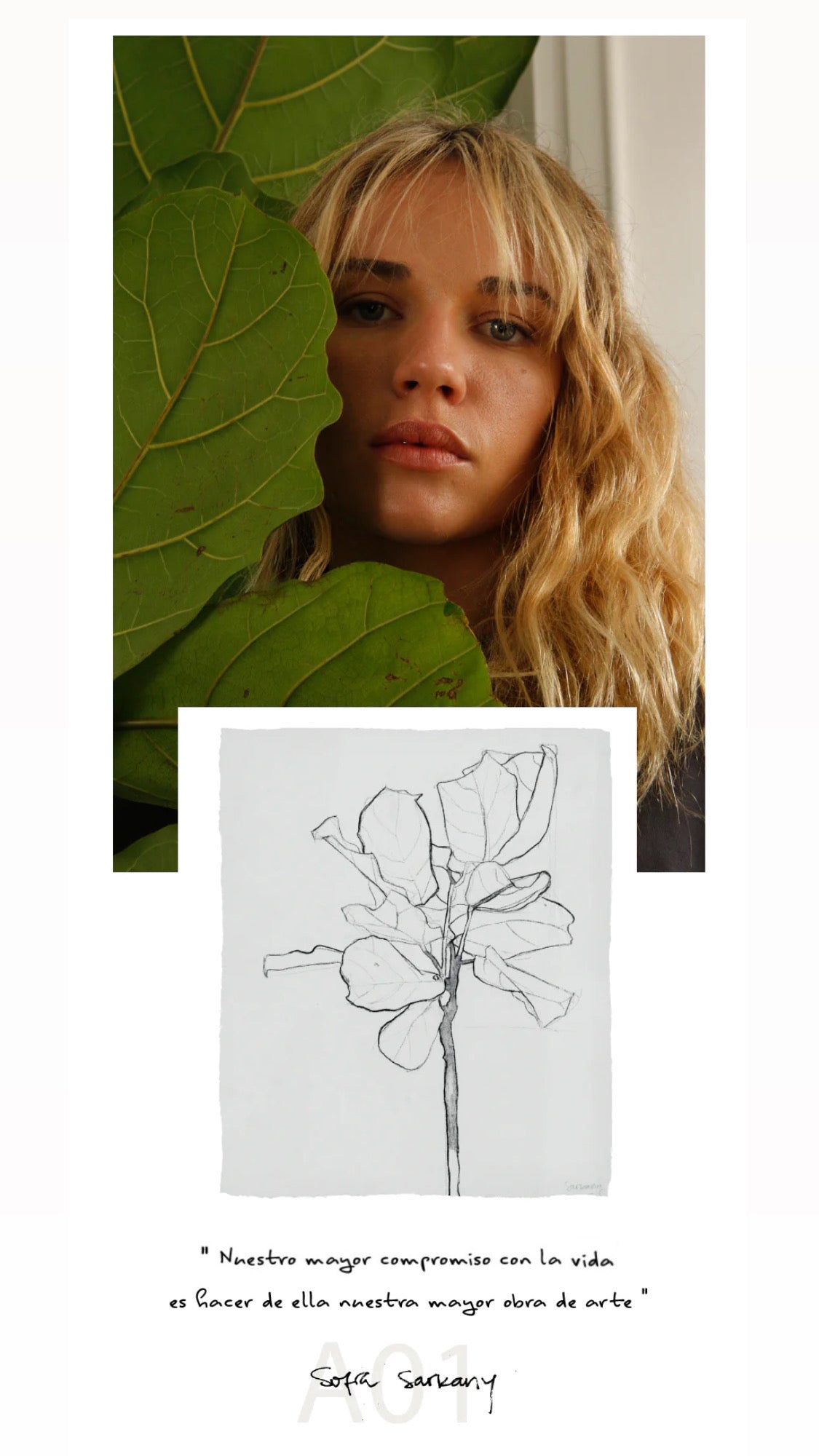 Atelier – Sofia Sarkany